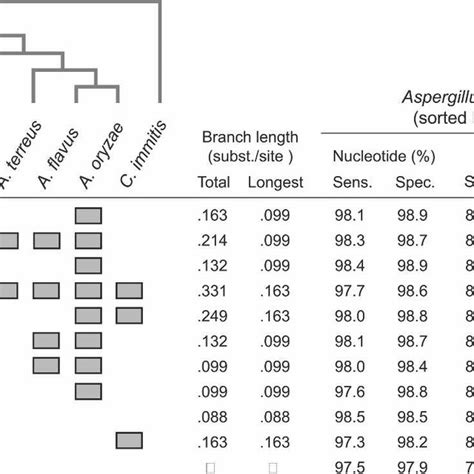 accuracy results for the conradsgf n model on a nidulans using several download scientific