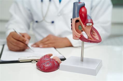 심혈관 질환 Cvd 병원에서 치료 환자를 위한 심장 인간 모델 해부학을 가진 의사 건강 진단에 대한 스톡 사진 및 기타 이미지 건강 진단 건강관리와 의술 검사 보기