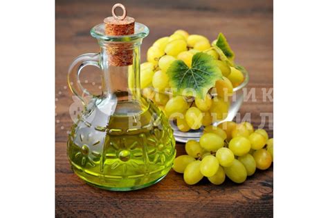 Масло виноградных косточек холодного отжима купить Питомник Васхнил