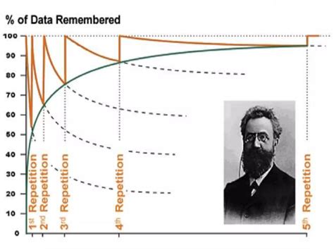 Forgetting Definition Types Of Forgetting Theories Of Forgetting