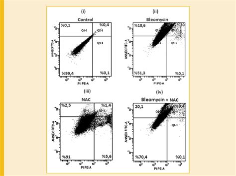 Facs Analysis Of Apoptosis Using Annexin V Pi Staining I Control Download Scientific Diagram