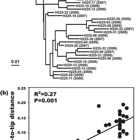 Increase Of Dna Sequence Variation Over The Sampling Time Download Scientific Diagram