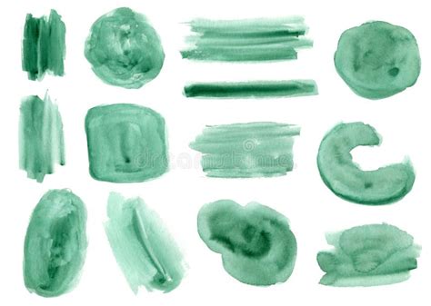 Conjunto De Manchas De Pinceles De Color Verde Claro Stock De