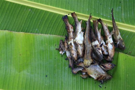 Traditional Asian Grilled Fish On A Banana Leaf Stock Photo Image Of
