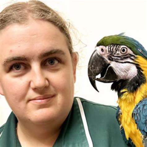 Stacey Thameswood Vets