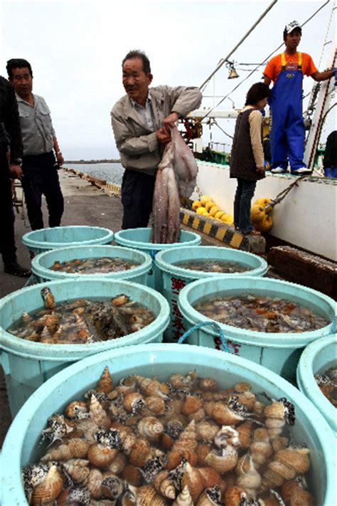 朝日新聞デジタル福島沖漁の再開へ試験操業 不検出魚種に限定 東日本大震災