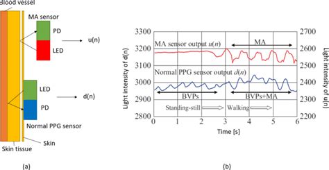 A Application Of The Two Ppg Sensors On The Skin Where The Second Download Scientific Diagram