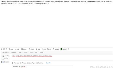 ctfshow web 78 88，web116 117 wp csdn博客