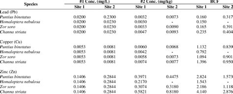 Bioconcentration Factor Bcf Of Fish Species In Benuken River North