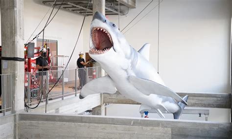 Jaws Shark Size