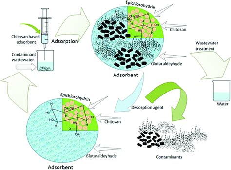 1 Schematic Representation For The Removal Of Pollutants From The