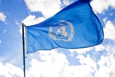 Organización de las Naciones Unidas ONU Economipedia