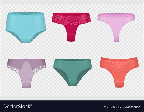 Female Panties Woman Underwear Collection Decent Vector Image
