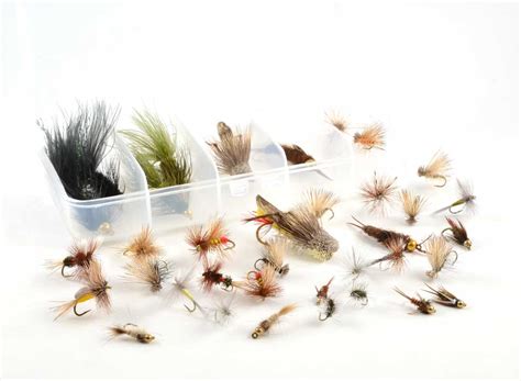Rainys 247 Trout Assortment 36 Pack Rainysflies