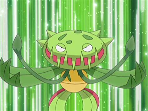 Serie Pokemon Xy 1997