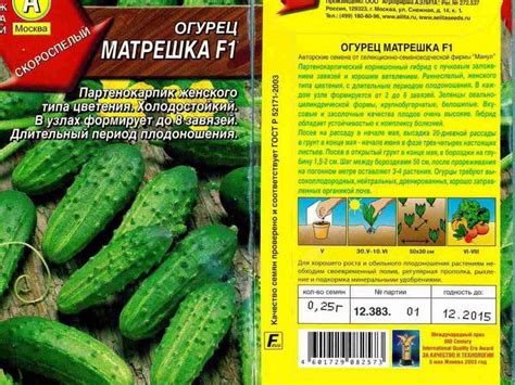 Засолочные сорта огурцов для открытого грунта и теплиц: описание лучших ...