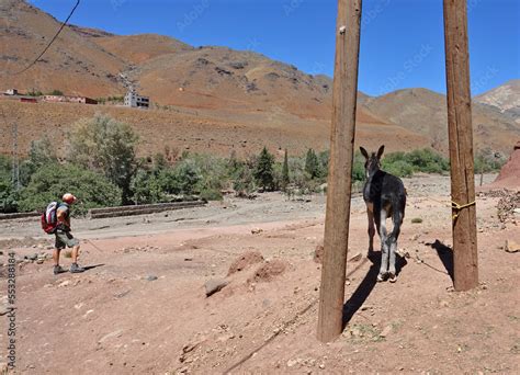 La grande traversée de lAtlas au Maroc 18 jours de marche Randonnée