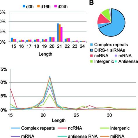 Size Distribution And Classification Of Small RNAs A Size Download Scientific Diagram