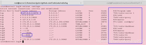 codis的原理以及部署—— codis （分布式 redis 解决方案） 源码巴士