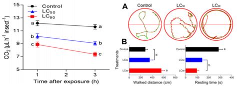 昆虫对杀虫剂的响应 知乎