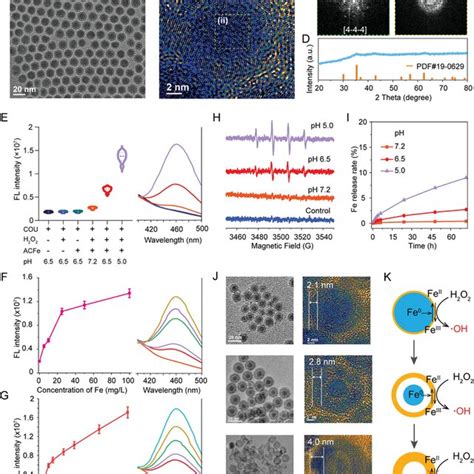 Intracellular Spatiotemporal Distribution And •oh Radical Generation Of