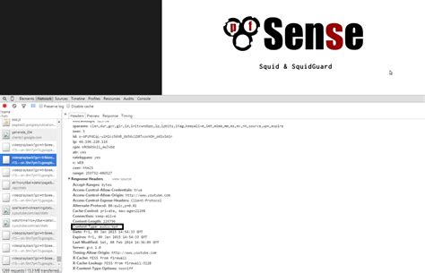 ssl filtreleme squid3 dev squidguard squid3 netgate forum
