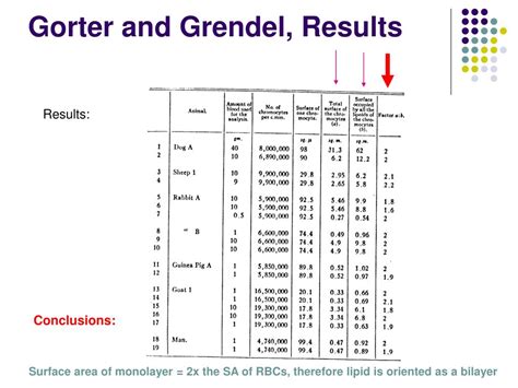 Ppt Lipids Membranes And The First Cells Powerpoint Presentation Id