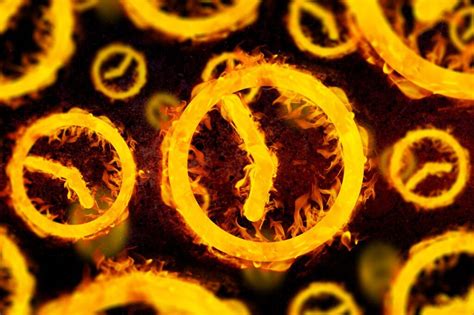 Fire Safety Legislation Changes October Praxis