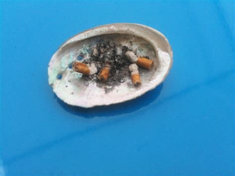 Miniature Abalone Shell Ashtray With Miniature Cigarette Butts Etsy