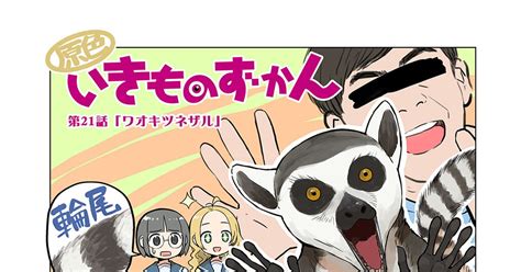 いきものずかん 原色いきものずかん 第21話「ワオキツネザル」 もりちかのマンガ 漫画 生物 Ring Tailed Pixiv