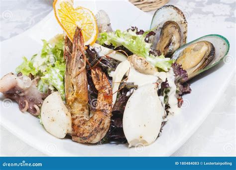 Octopus Shrimp Squid Seafood Salad Stock Image Image Of Chef
