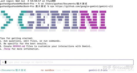 小白必看：谷歌gemini Cli入门使用教程 不懂编程手把手教你如何一步步使用gemini Cli 知乎