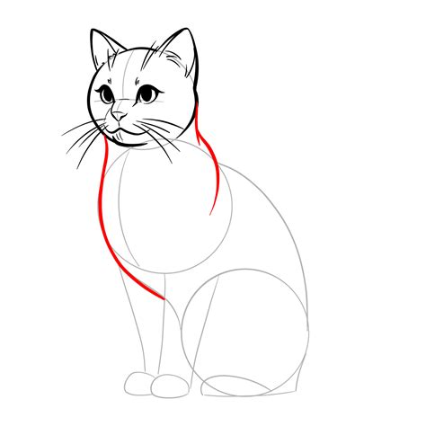 How To Draw Realistic Cat Easy