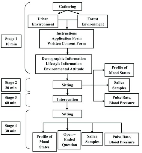 Environmental Protocol Download Scientific Diagram