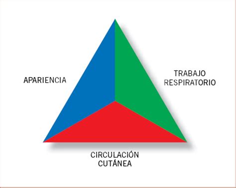 Triángulo De Evaluación Pediátrica Pediatría Integral