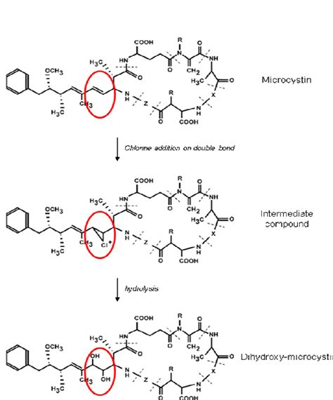 Figure 1 From Breakpoint Chlorination Full Paper Published