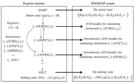 Applied Sciences Free Full Text Spiking Neural P Systems With Rules