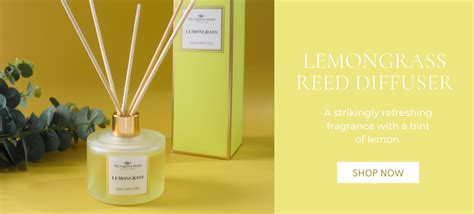 Quantra 5 Free Course On Algorithmictrading Automated Trading With Ibridgepy Python For