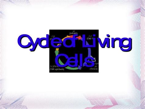 Cell Cycle Powerpoint Odp