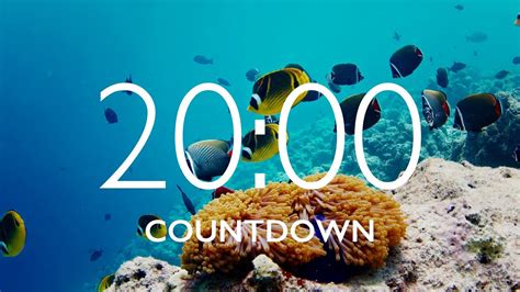 20 Minute Timer With Relaxing Music And Alarm 🎵 ⏰