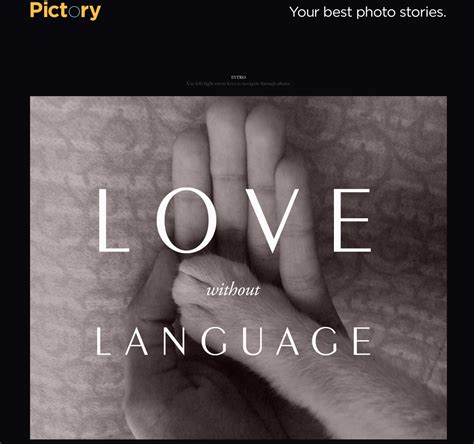 The Life Of Riley LENSCRATCH