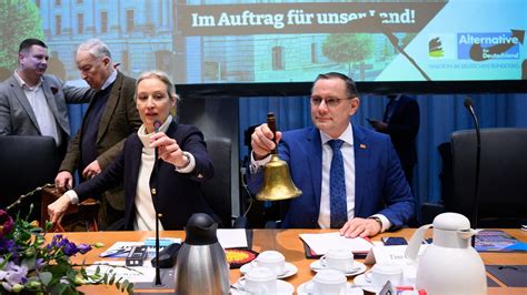 Das Ist Die Neue Afd Fraktion Im Bundestag