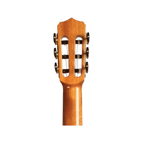 Cordoba Fusion 5 Edge Burst Art Of Guitar
