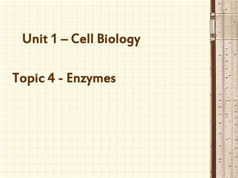 Unit 1 – Cell Biology Topic 4 - Enzymes. - ppt download