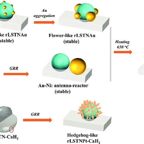 Schematic Representation Of The Observed Evolution Of Niau And Nipt Download Scientific Diagram