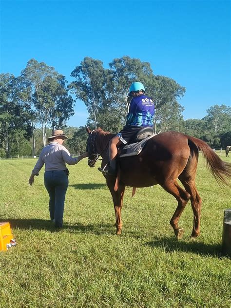 Kiwi Woggle Scouts Queensland Scout Section Camp Landsborough Qld
