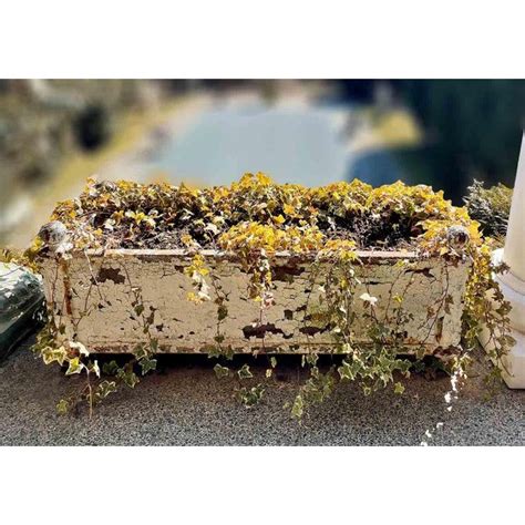 Antique Cast Iron Rectangular Planter Rectangular Planters Antique