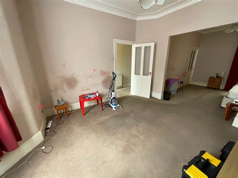 Defect Diagnosis Surveys By Rics Chartered Building Surveyors