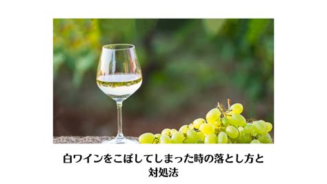和協クリンシン株式会社 馬着絨毯クリーニング和協クシンシン株式会社・稲城市