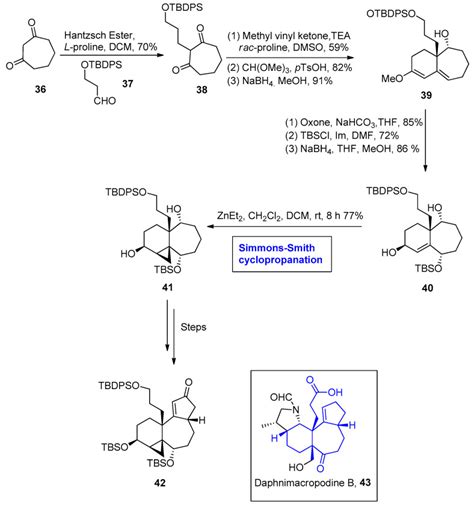 Simmonssmith Cyclopropanation A Multifaceted Synthetic Protocol